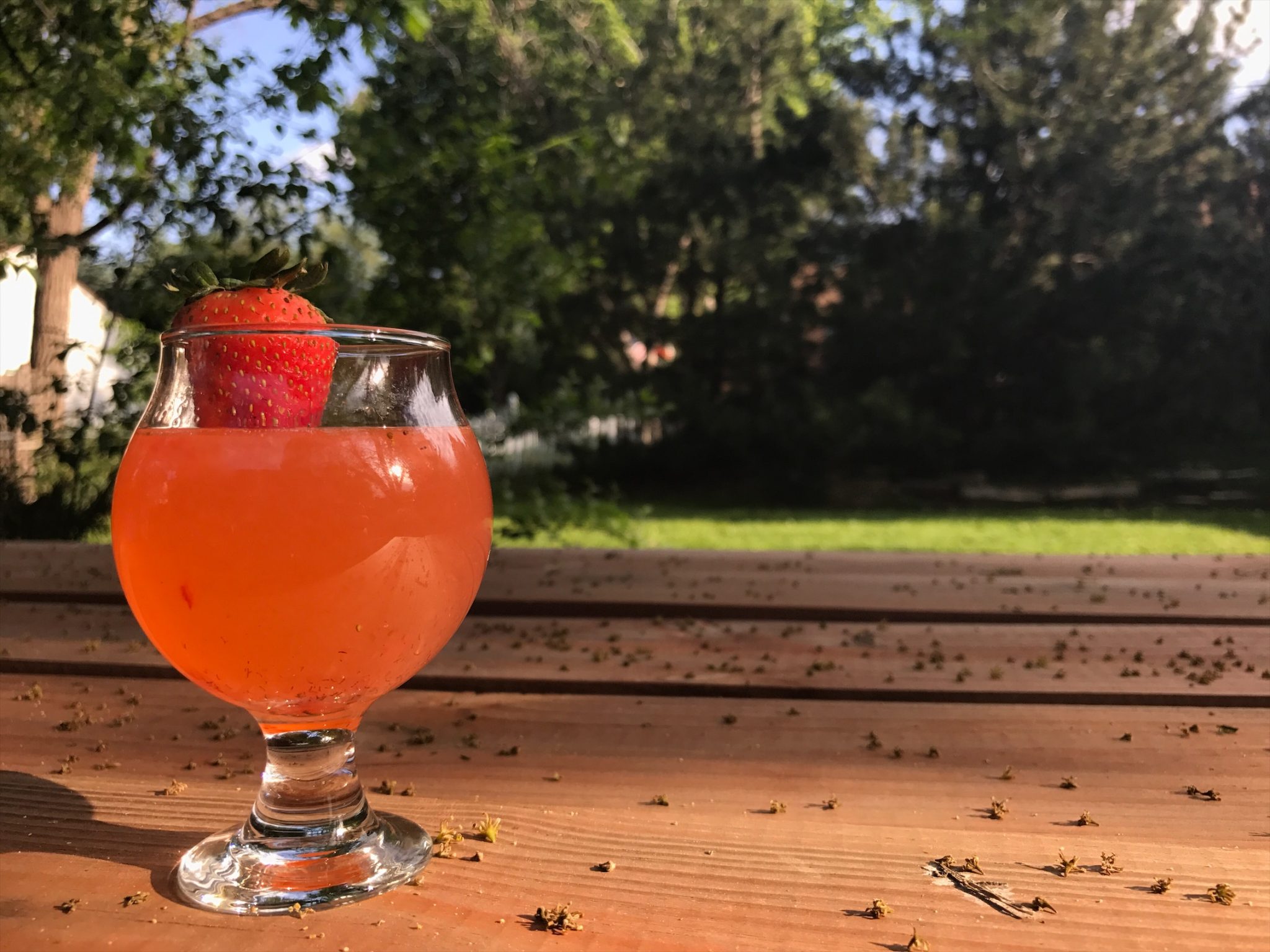 Drinking in the Feeling of Summer with the Volstead | FactoryTwoFour