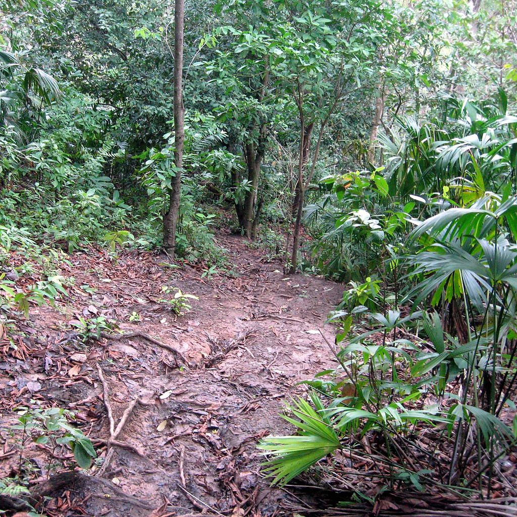 Lost in the Darién Gap: The Most Lawless 100-Mile Jungle in the World ...